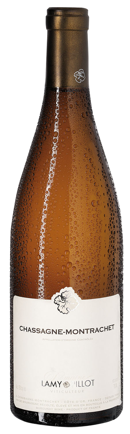 Lamy-Pillot Chassagne Montrachet "Pot Bois" AOC | Artikel | Wein ...