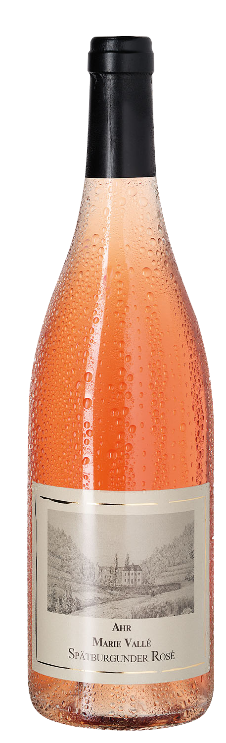 Kloster Marienthal Marie Vallé Ahr-Spätburgunder Rosé | Artikel | Wein ...